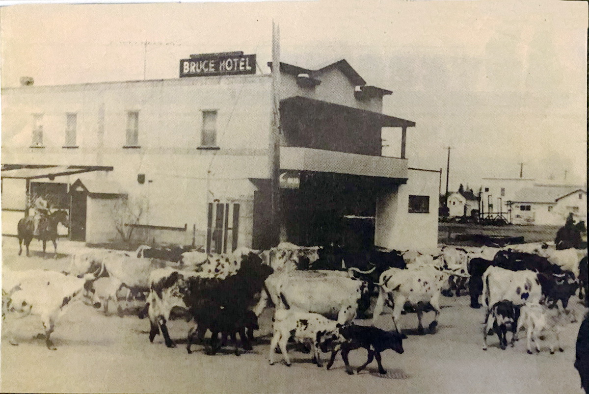 Historical photos photographs of Bruce Alberta