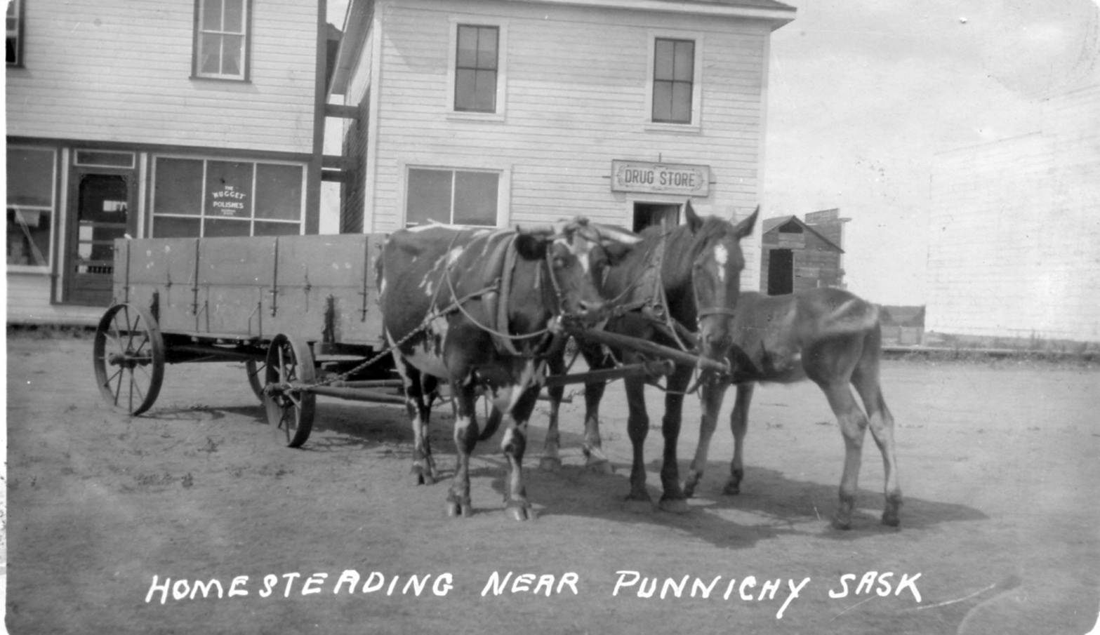 Historical photos photographs of Punnichy Saskatchewan